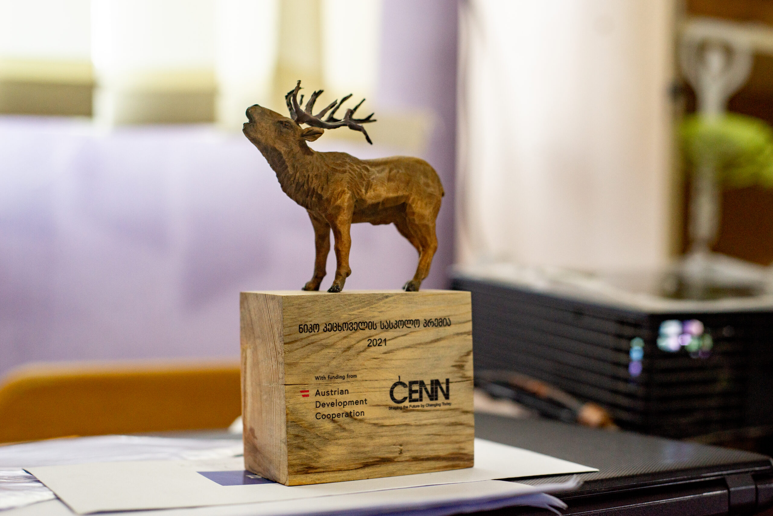 The Winning School Of The Niko Ketskhoveli School Awards Received Their